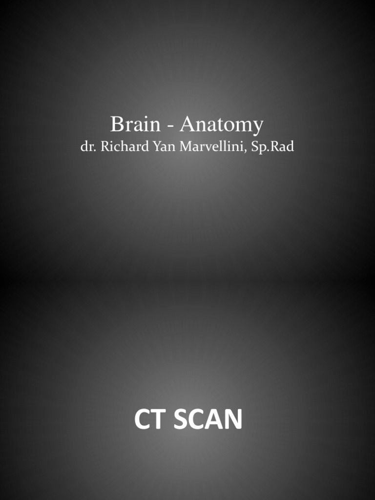 Brain Anatomy - Dr. Richard Yan Marvellini, SpRad | Download Free PDF ...