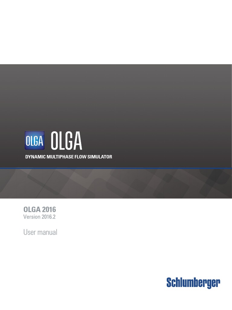 OLGA User Manual | PDF | Pump | Simulation
