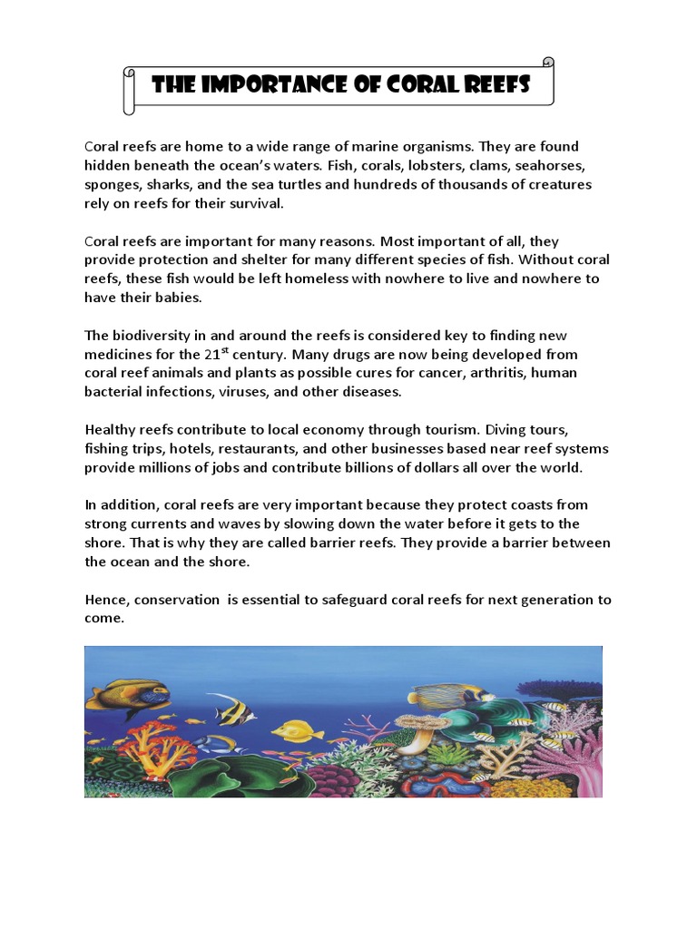 Coral Reefs | PDF | Coral Reef | Coral