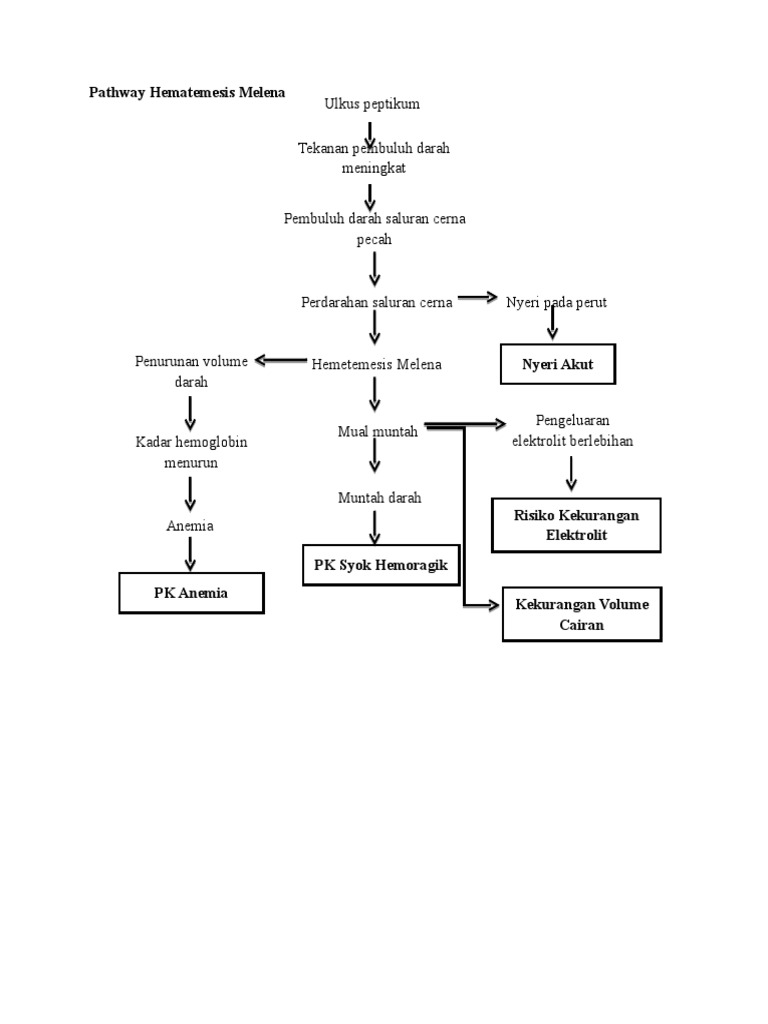 LP Hematemesis Melena | PDF