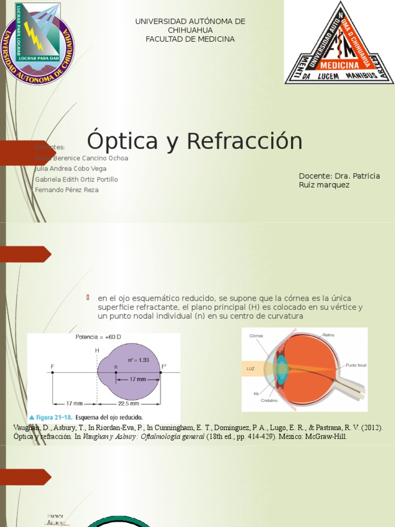 Optica y Refraccion | PDF | Ojo humano | Visión