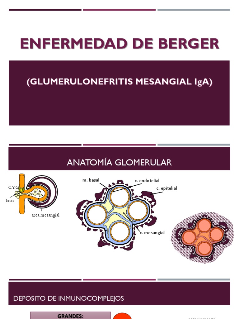 Enfermedad de Berger | PDF | Especialidades Medicas | Enfermedades y ...