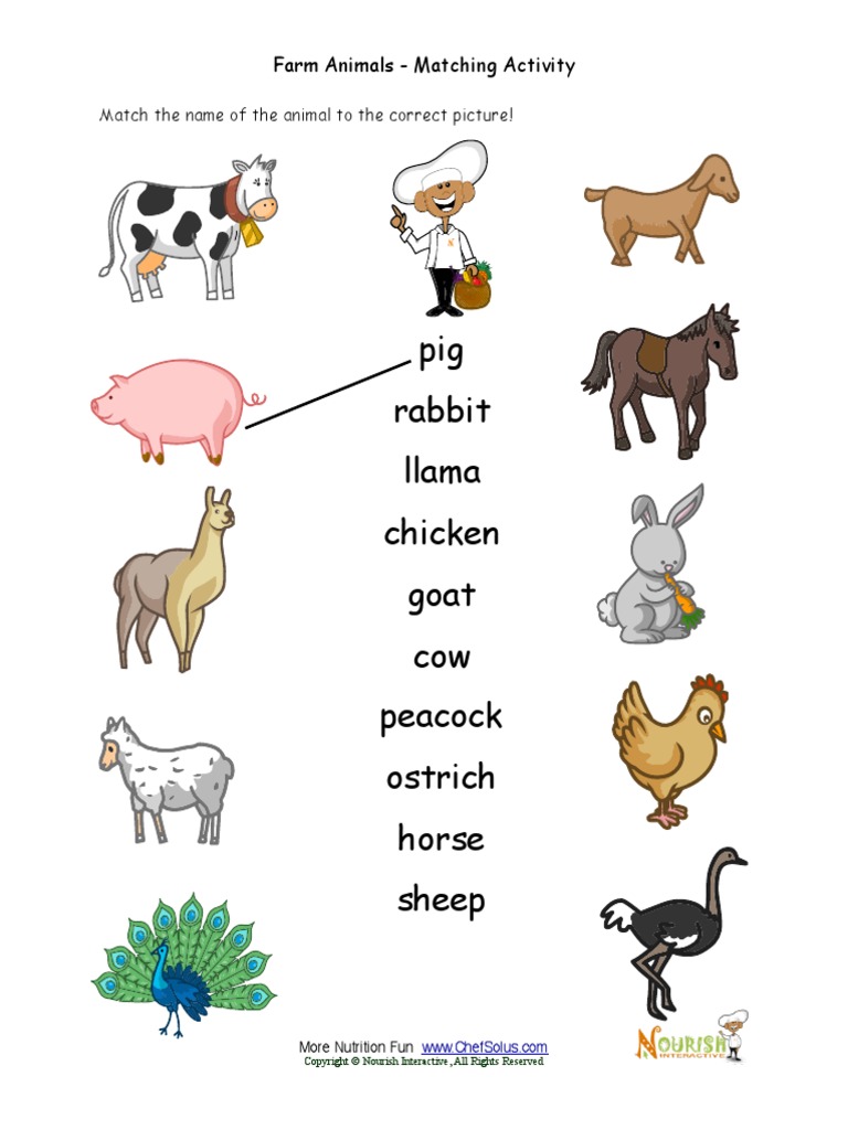 Farm Animals Matching Words Kids Activity Page | PDF