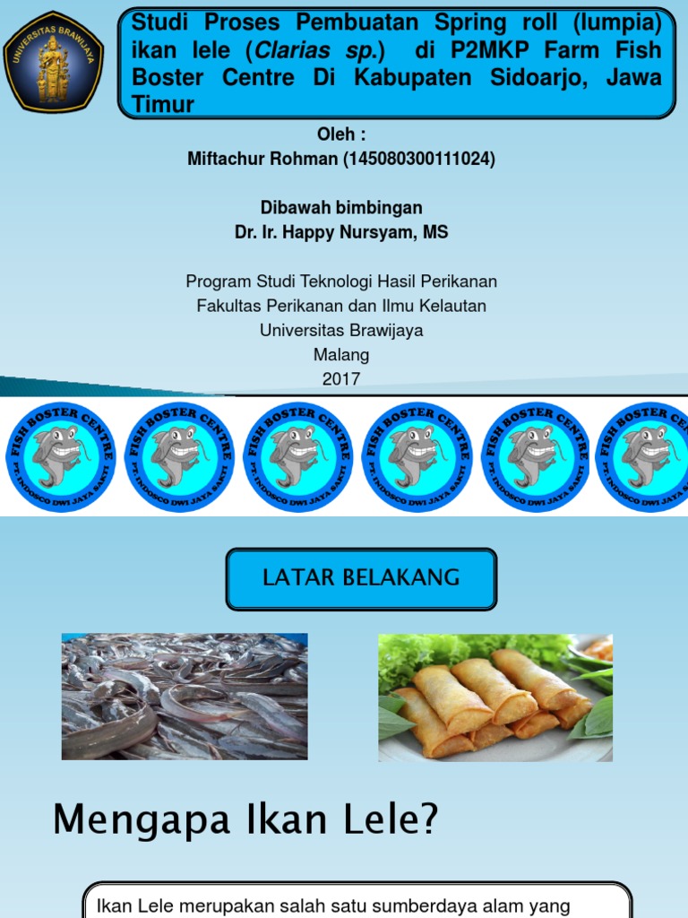 Spring Roll (Lumpia) Ikan Lele | PDF