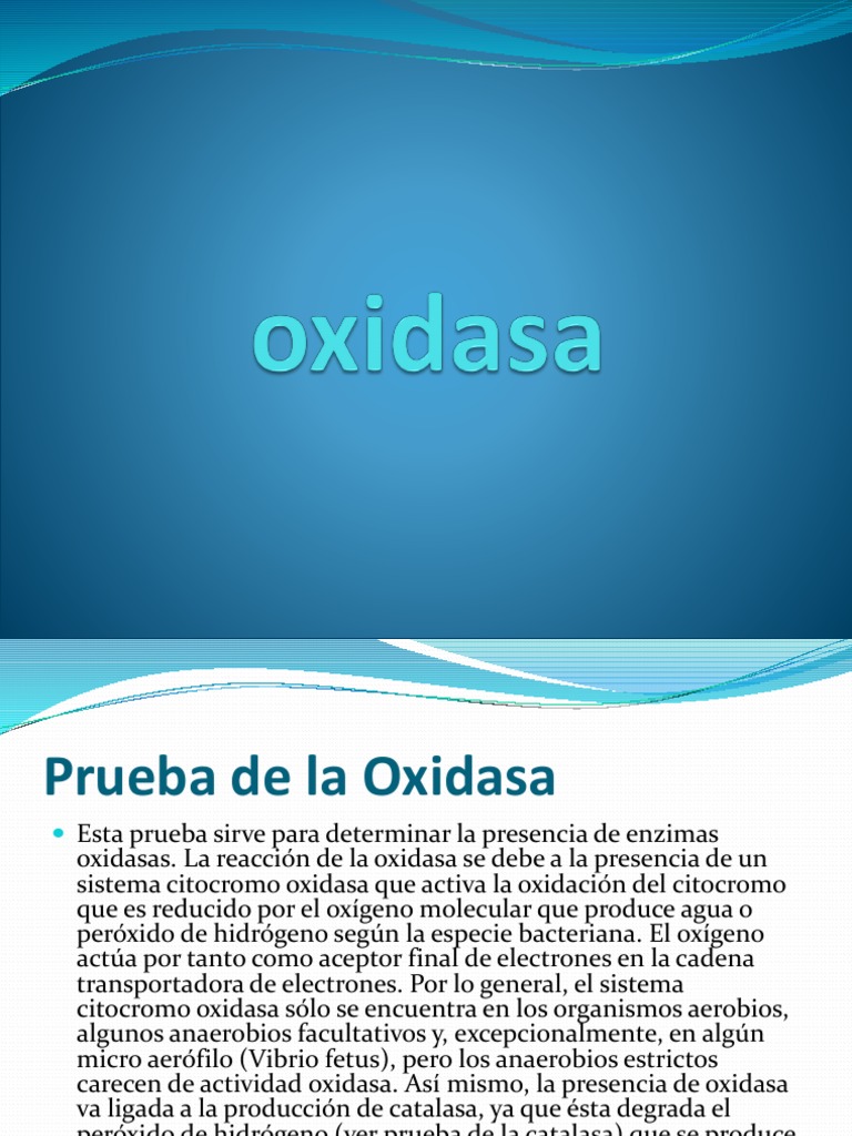 Oxidasa | PDF | Redox | Bioquímica