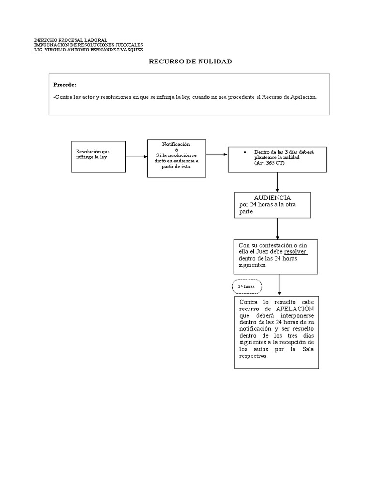 Esquema Recurso de Nulidad | PDF | Apelación | Conceptos legales