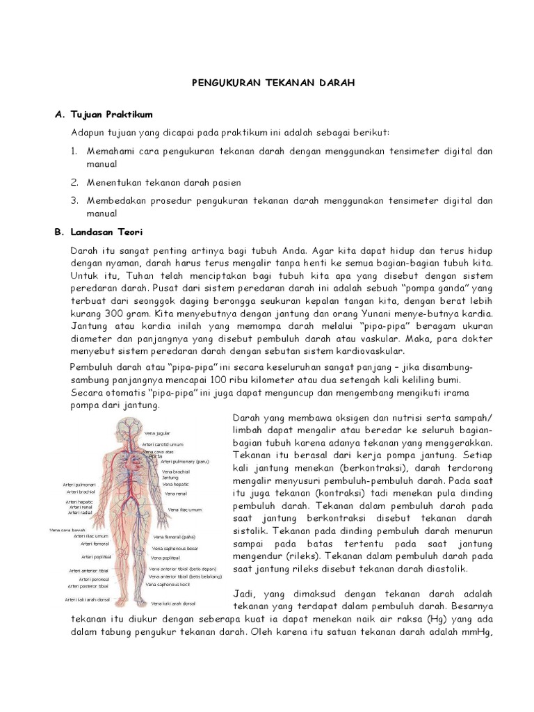 Pengukuran Tekanan Darah | PDF | Kesehatan Holistik | Sains & Matematika