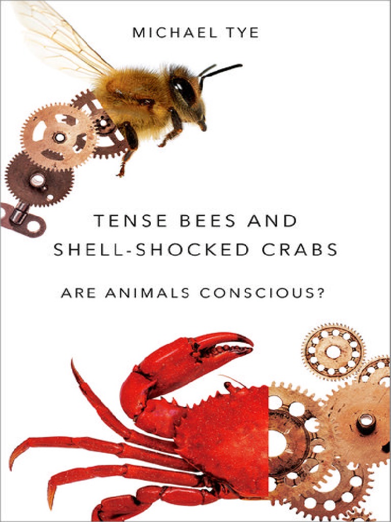 Tense Bees and Shell-Shocked Crabs | PDF | Consciousness | Experience