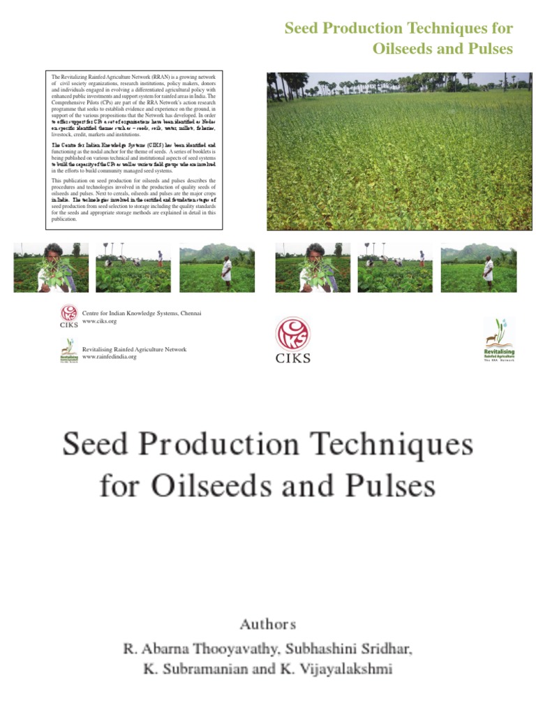 Seed Production Techniques For Oilseeds and Pulses | PDF | Sowing | Seed
