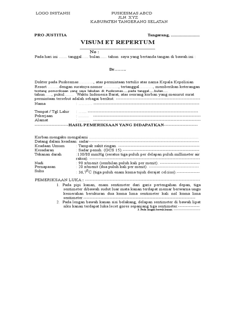 Contoh Format Visum PKM | PDF