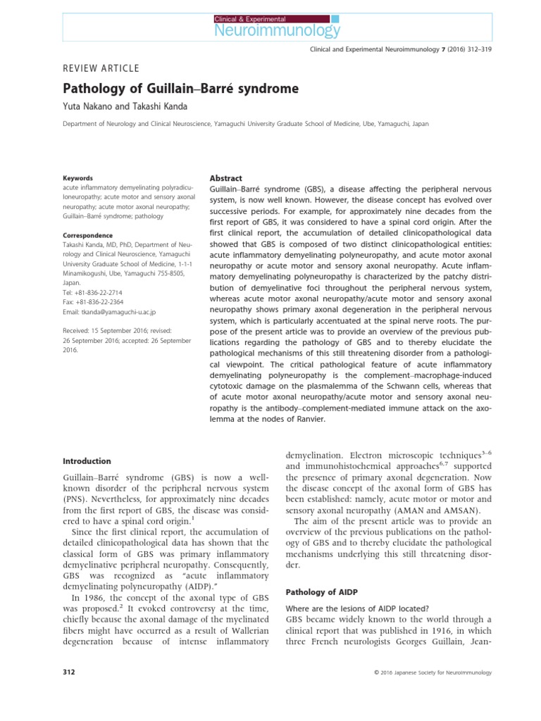 Pathologi Gbs | PDF | Myelin | Peripheral Neuropathy
