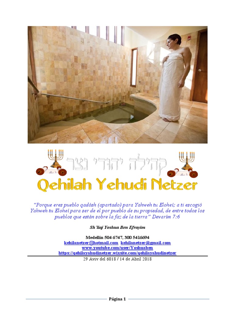 Parashat Tazría, Metzora # 27, 28 Adul 6018 | PDF | Circuncisión | Menstruación