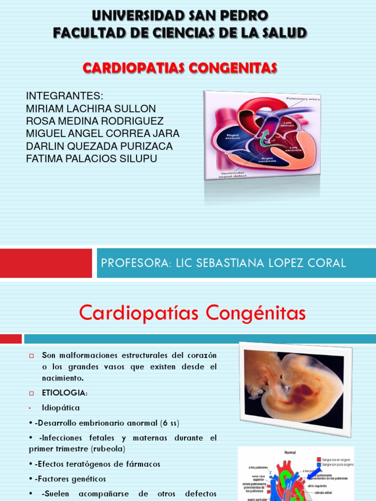 Neo Cardio | PDF | Corazón | Sistema circulatorio