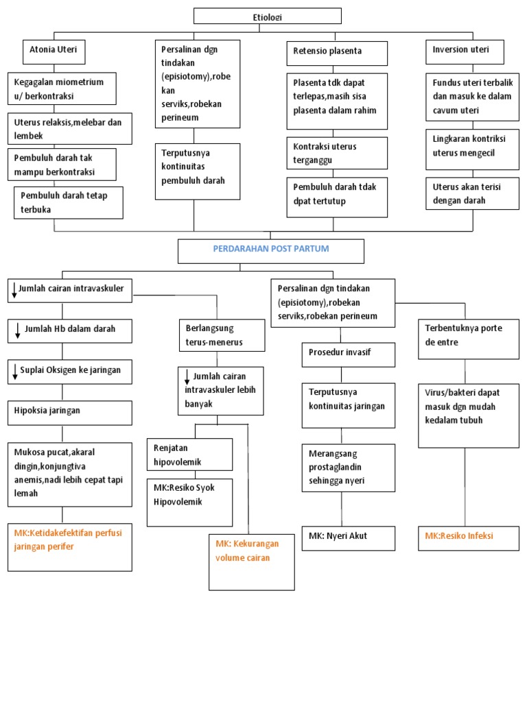 WOC Perdarahan Post Partum | PDF