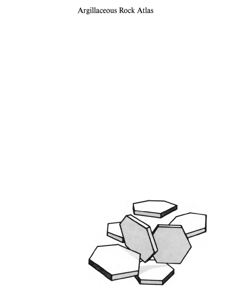 Argillaceous Rock Atlas | PDF | Sedimentary Rock | Scanning Electron ...