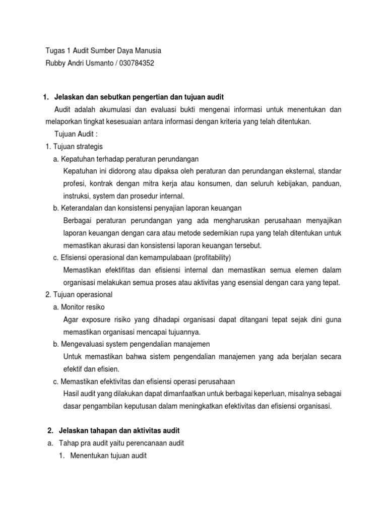 Tugas 1 Audit Sumber Daya Manusia | PDF | Teknologi & Rekayasa