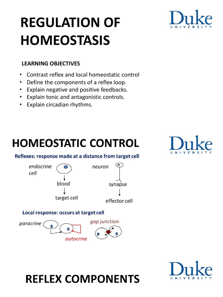 Homeostasis Regulation Guide | PDF