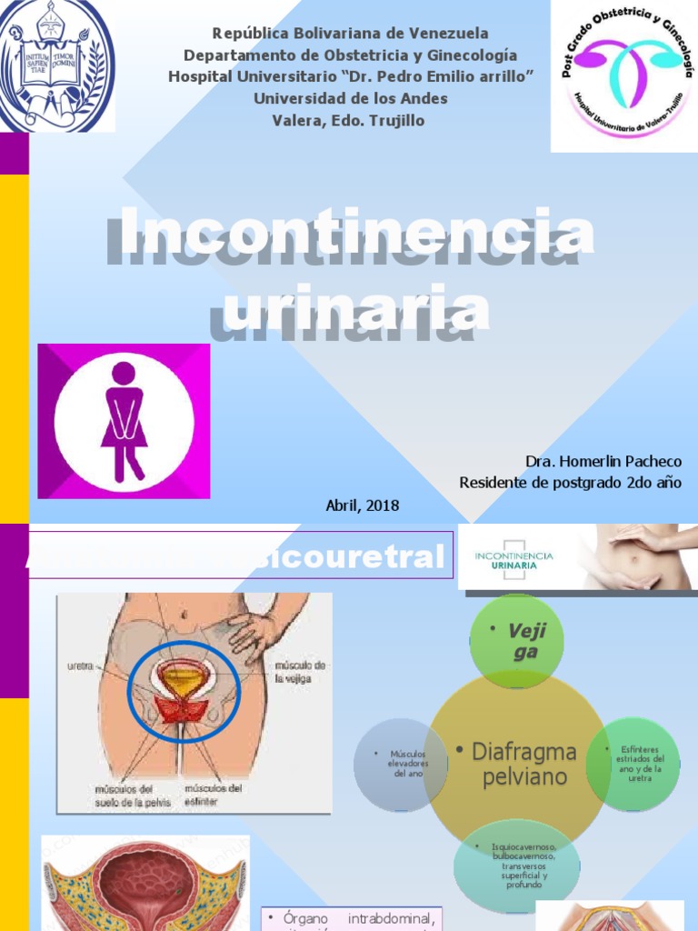 Incontinencia Urinaria | PDF | Vejiga urinaria | Micción