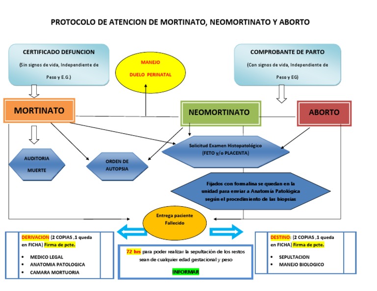 Protocolo de Atención a Mortinatos y Aborto | PDF