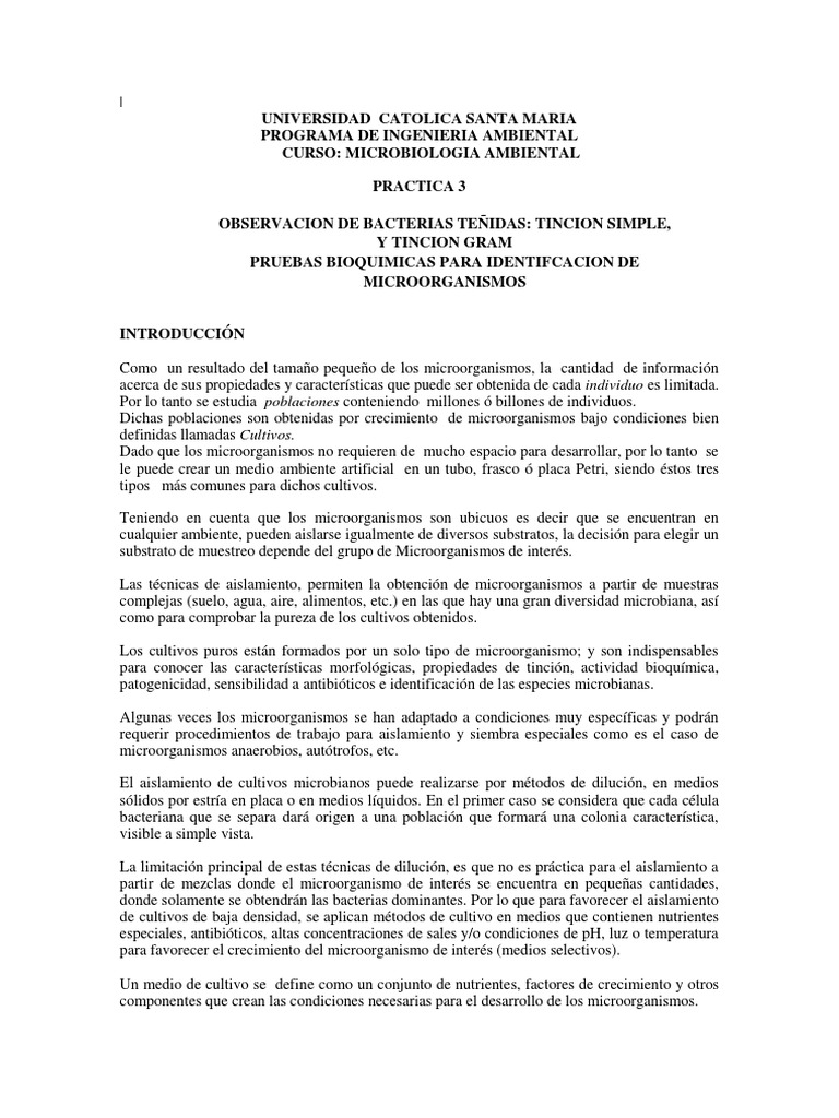 Practica #3 Microb. Ambiental | PDF | Tinción | Las bacterias