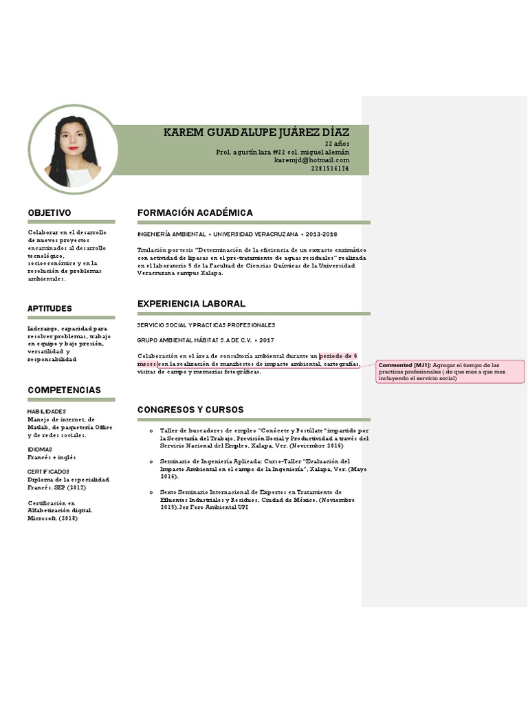 CV Karem Editado | PDF | Ingeniería | Ciencia y Tecnología