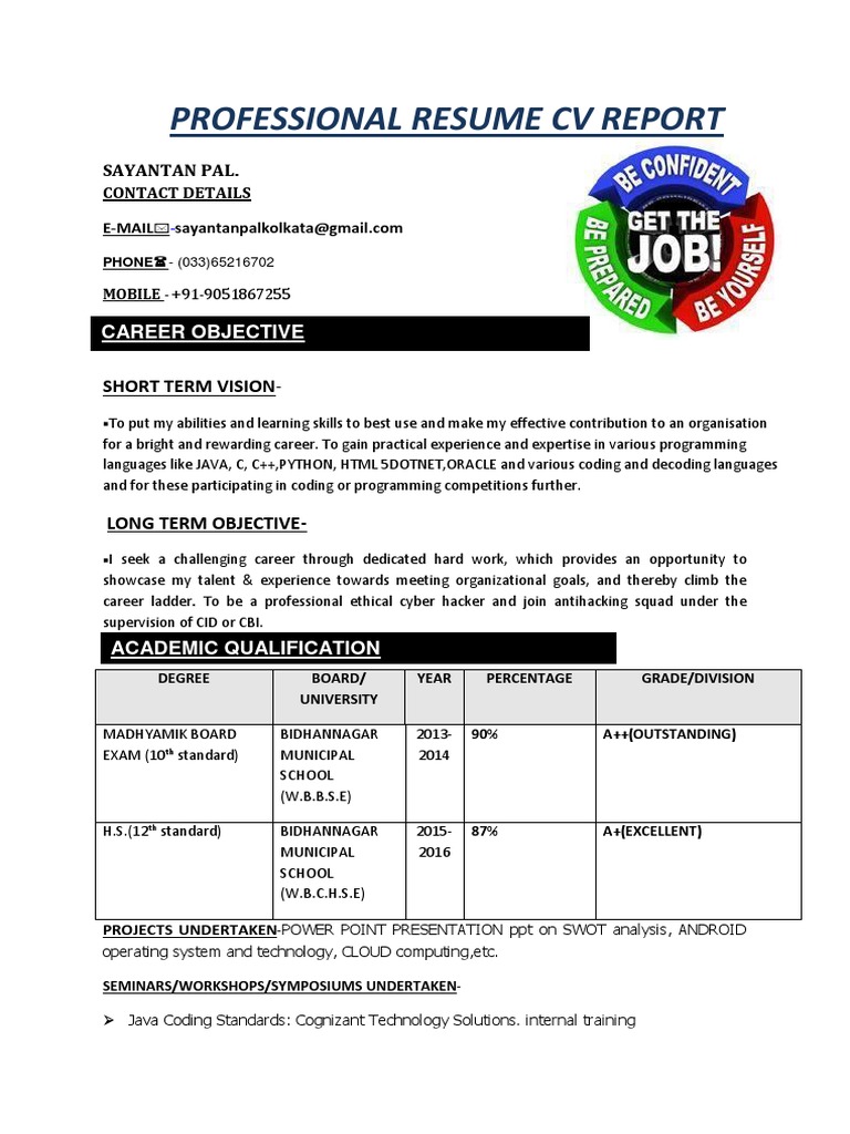 Professional Resume CV Report: Career Objective | PDF | Computing ...