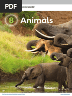 Shape It! SB 2 | PDF