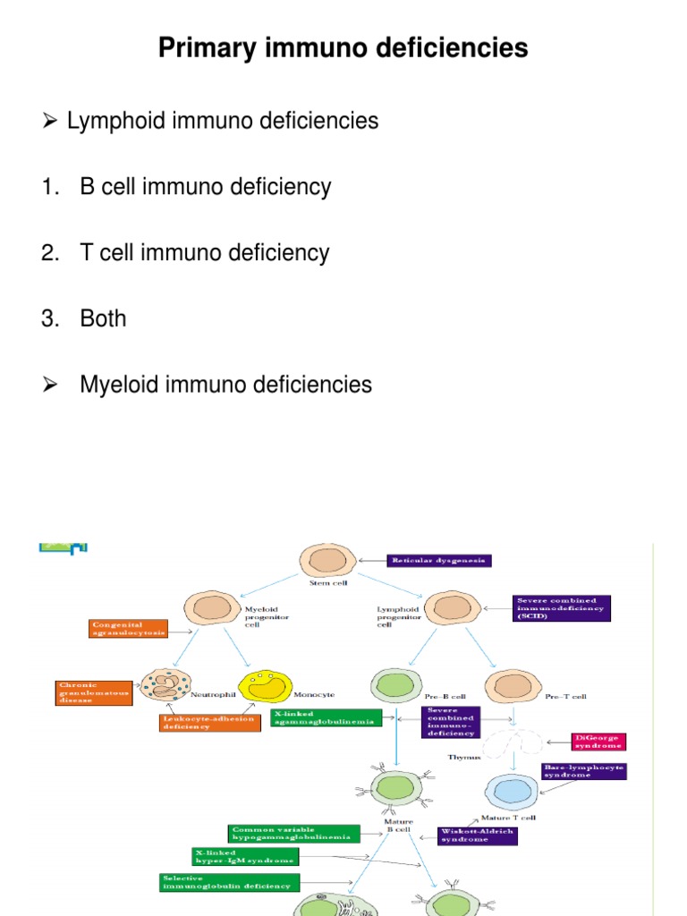 Overview of Primary Immuno Deficiencies | PDF