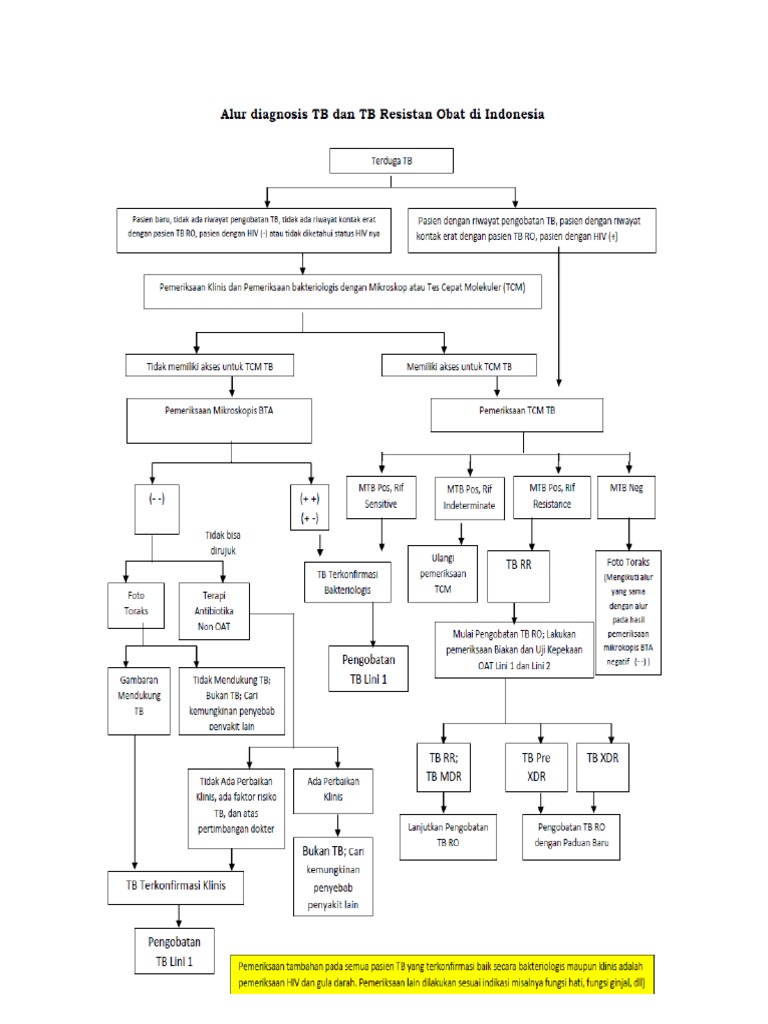 Alur Diagnosis TB Paru Dewasa | PDF