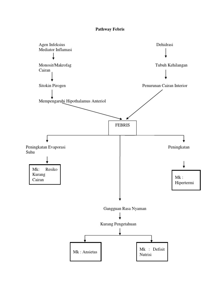 Pathway Febris | PDF