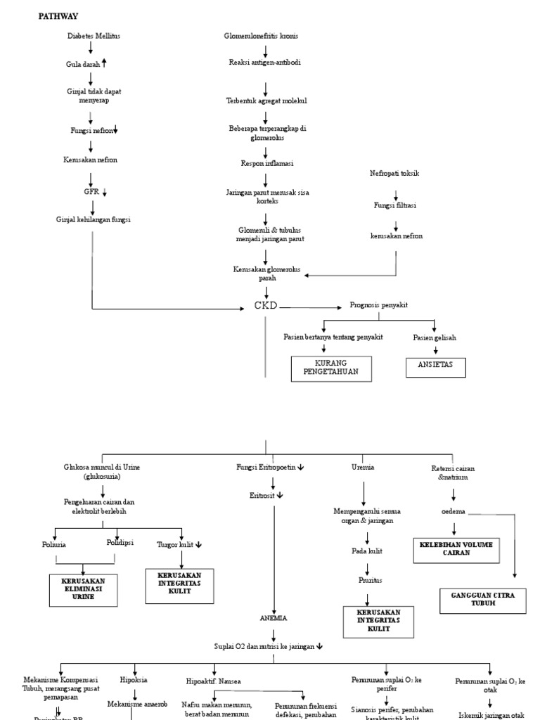 Pathway CKD | PDF