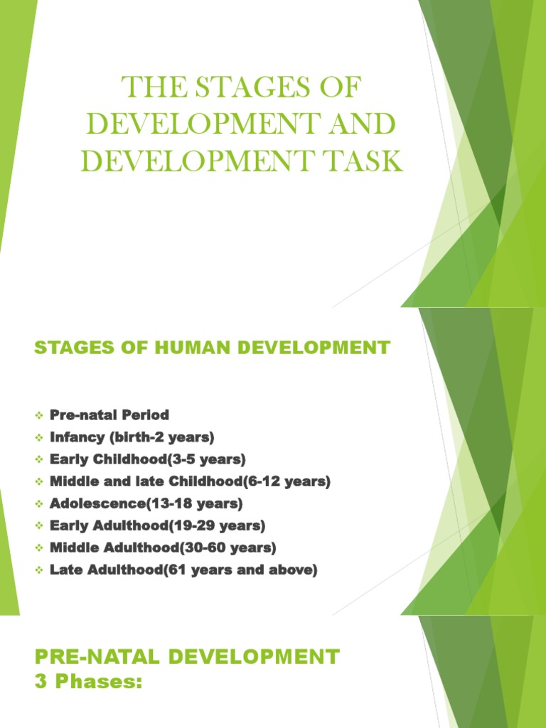1.2 Stages of Development | PDF | Childhood | Early Childhood