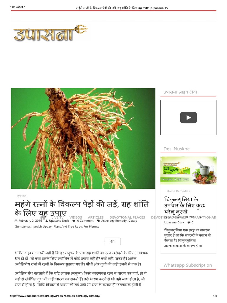 Tree Root Solutions For Kundali Dosh / Tree Roots As Astrological ...