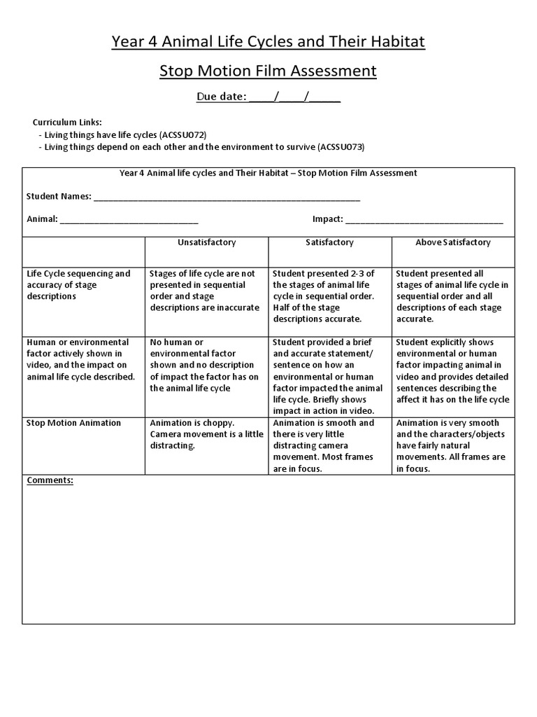 Lesson 3 Rubric | PDF | Life Cycle Assessment | Animation