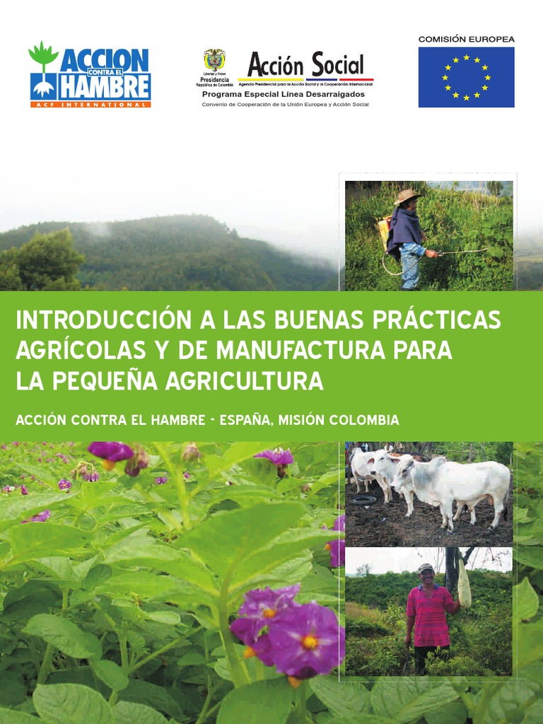 Manual Bpa - BPM para La Pequena Agricultura5 | PDF | Fertilizante ...