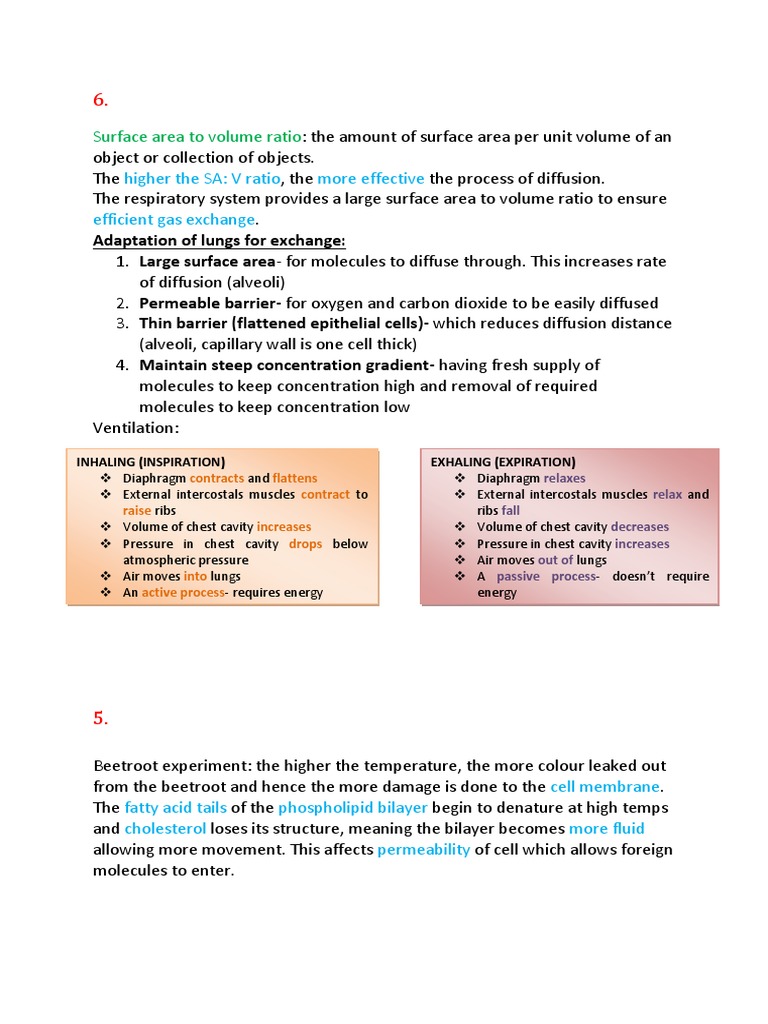 Biology Topic 2 Notes | PDF | Rna | Cell Membrane