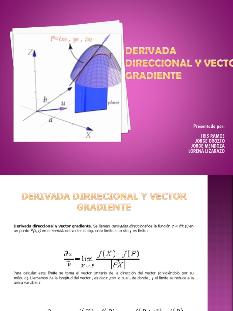 Derivada Direccional y Vector Gradiente | PDF