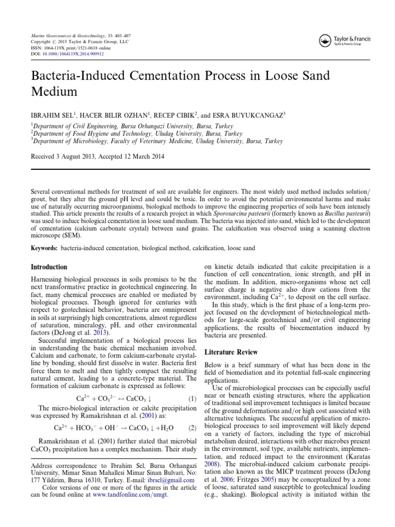 Bacteria-Induced Cementation Process in Loose Sand Medium | PDF ...