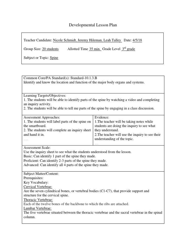 Spine Lesson Plan | PDF | Vertebral Column | Spinal Cord