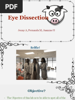 Sheep Eye Dissection Guide | PDF | Facial Features | Face
