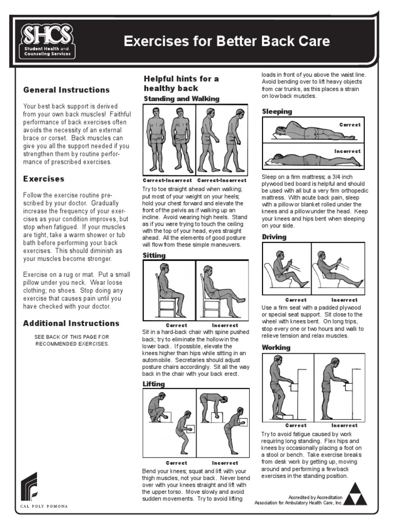 000exercises Back Care | PDF | Knee | Chair