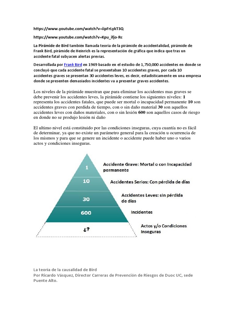 La Pirámide de Bird También Llamada Teoría de La Pirámide de ...