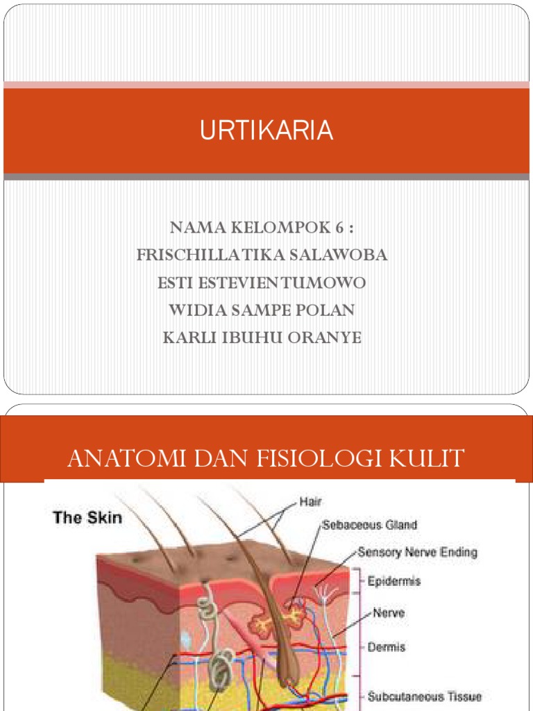 Power Point Urtikaria | PDF