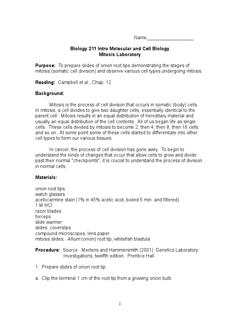 211 Mitosis Lab | PDF | Mitosis | Chromosome