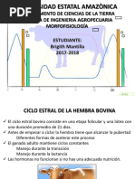 Practica 6 Hormonas Sexuales | PDF | Hormona luteinizante | Ciclo menstrual