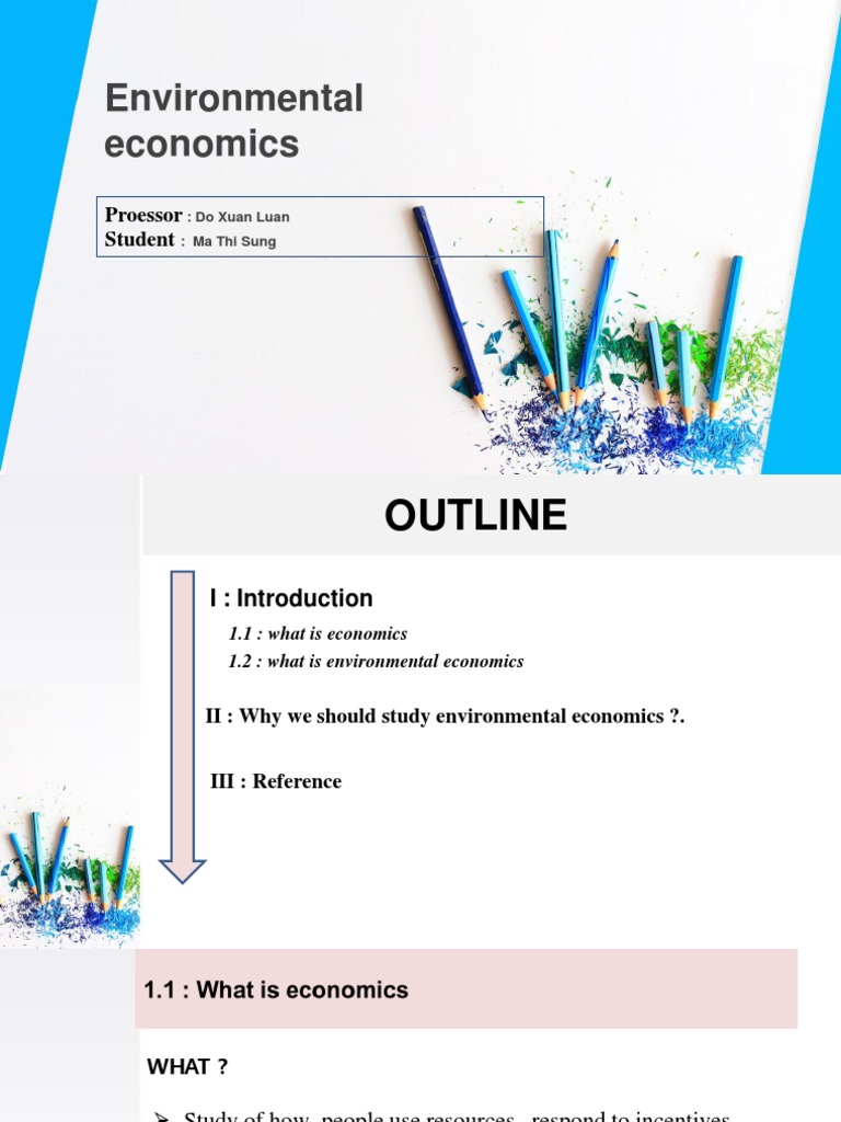 Introduction to Environmental Economics | PDF | Externality | Economy ...