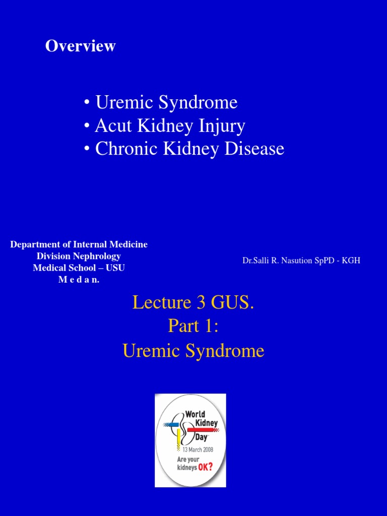 Uremic Syndrome - Acut Kidney Injury - Chronic Kidney Disease | PDF ...