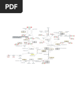Full Name of Protein Titin | PDF