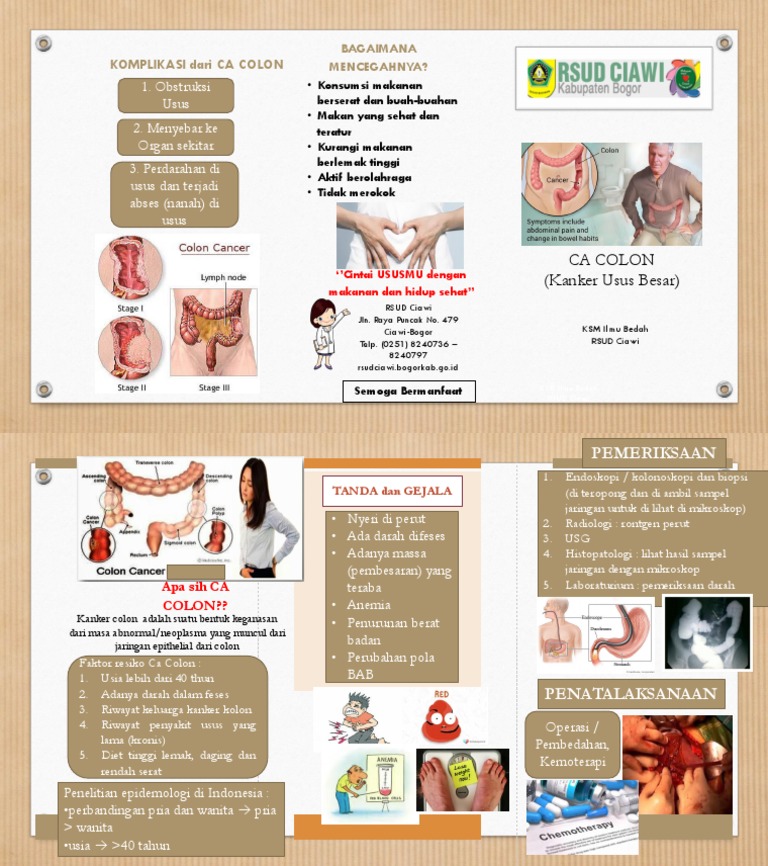 Leaflet CA Colon | PDF | Kesehatan Holistik