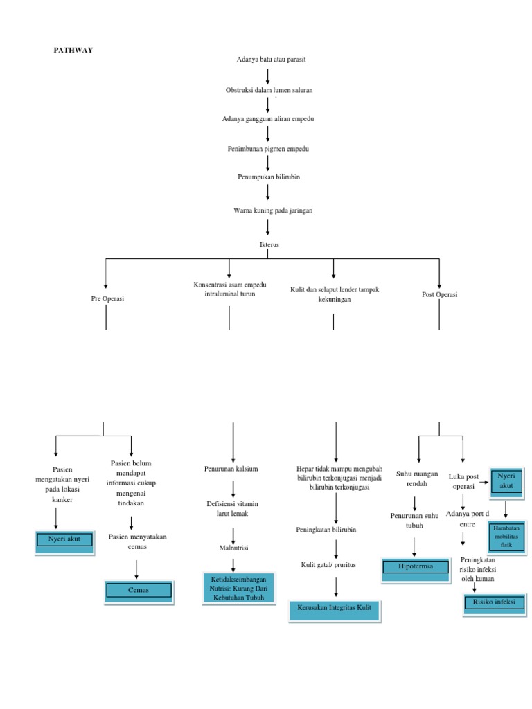 Pathway Penyakit Ikterus Pdf